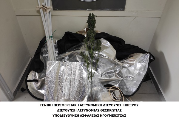 Θεσπρωτία: Σύλληψη για κατοχή και καλλιέργεια ναρκωτικών | Arta Best